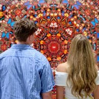 Exposicions a Londres – Art Modern i Immersiu al Moco